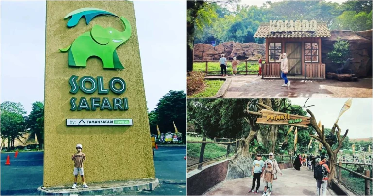 Solo Safari Zoo, Simak Info Harga Tiket, Jam Buka Dan Atraksi Menariknya!