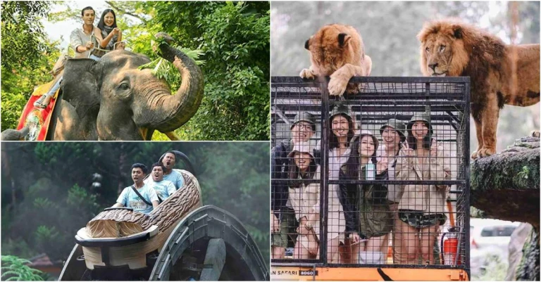 Taman Safari Bogor, Harga Tiket Dan Aktivitas Yang Bisa Dilakukan