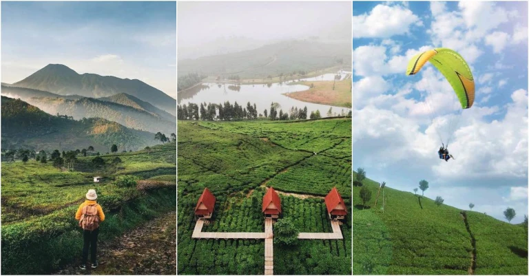 Kebun Teh Bogor Dengan View Keren dan Instagramable