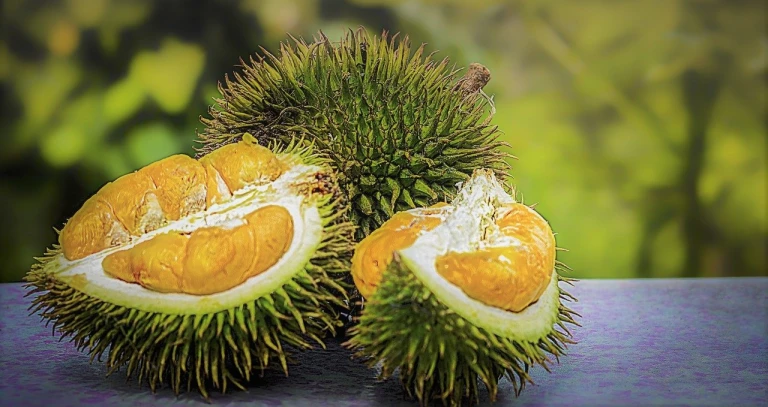 Cihuy! Ada Festival Durian Di Terminal 3 Bandara Soekarno-Hatta