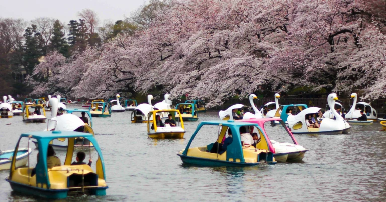 Negara Dengan Musim Semi Bebas Visa Untuk Wisatawan Indonesia