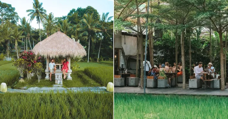 Cafe View Sawah di Ubud, Bali